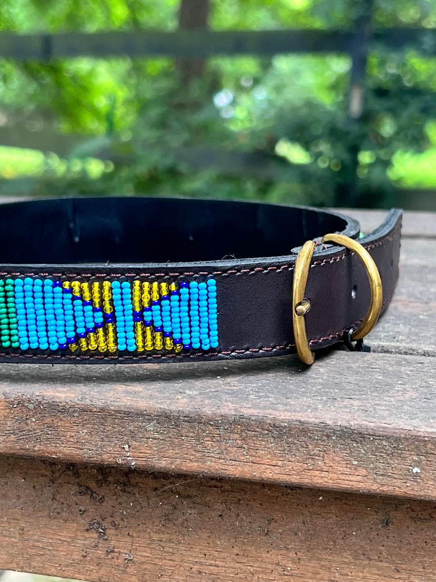 Proud as a Peacock Dog Collar – Vibrant and Ethical – Her Best Foot Forward